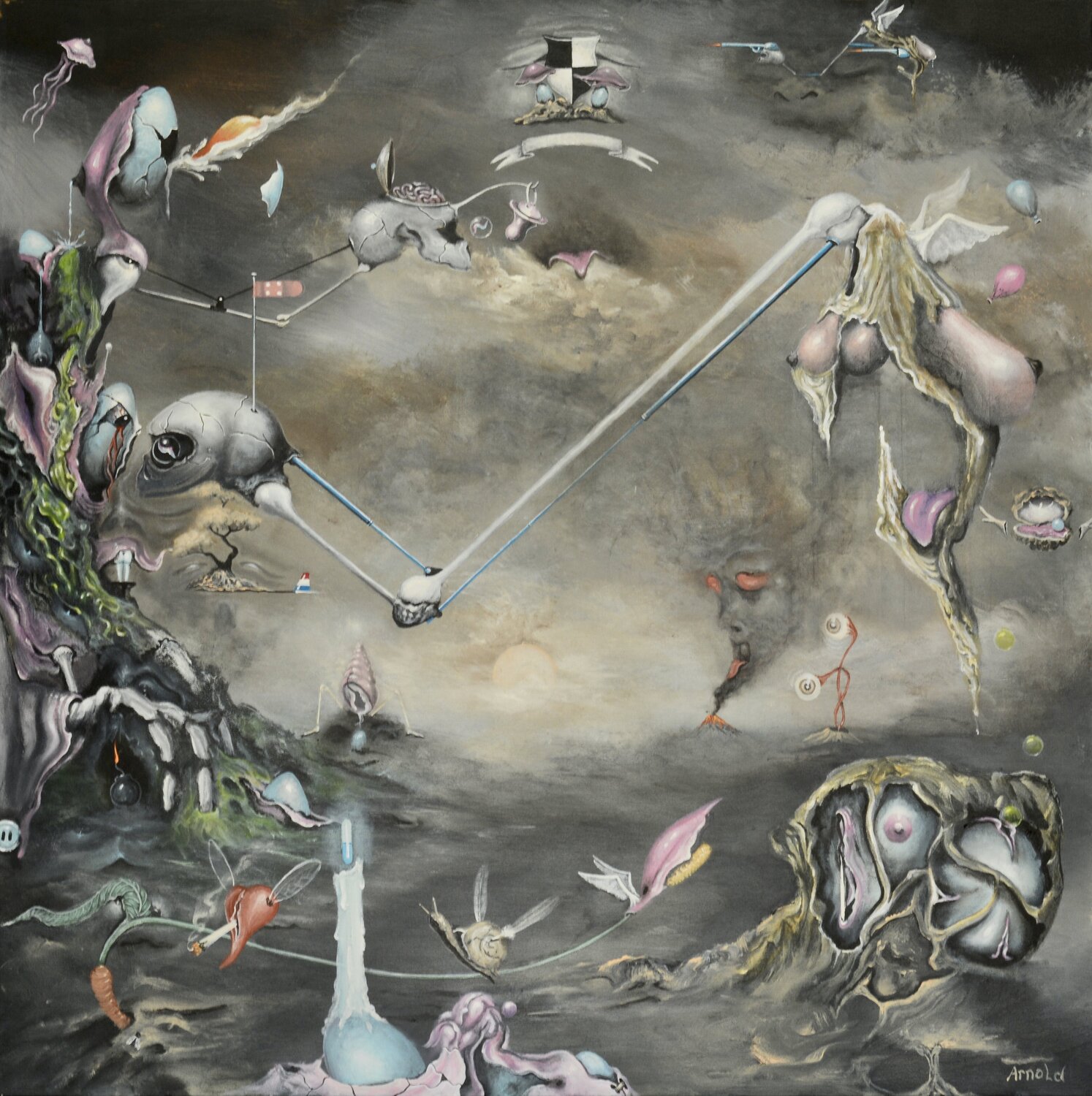 Curiosity Arnold Janssen