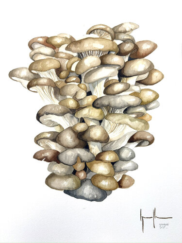 Arquitecturas blandas de Nacho Muñoz Cano (2025) : Œuvre sur papier ...