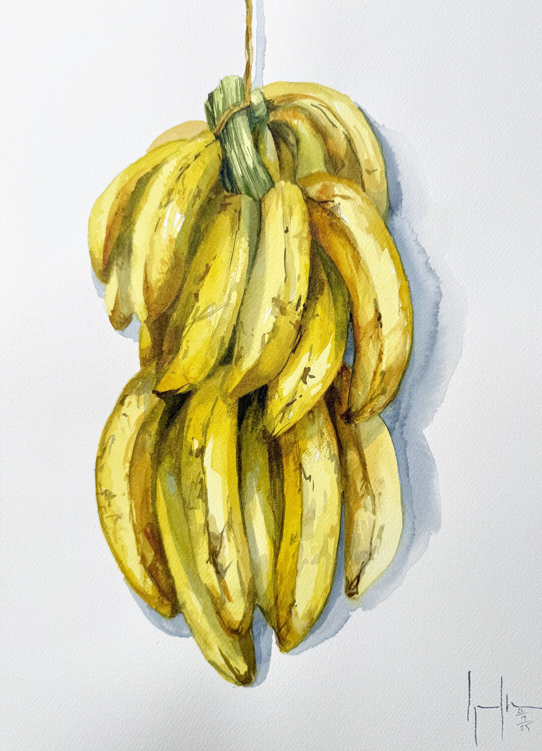 Rama de banano Nacho Muñoz Cano