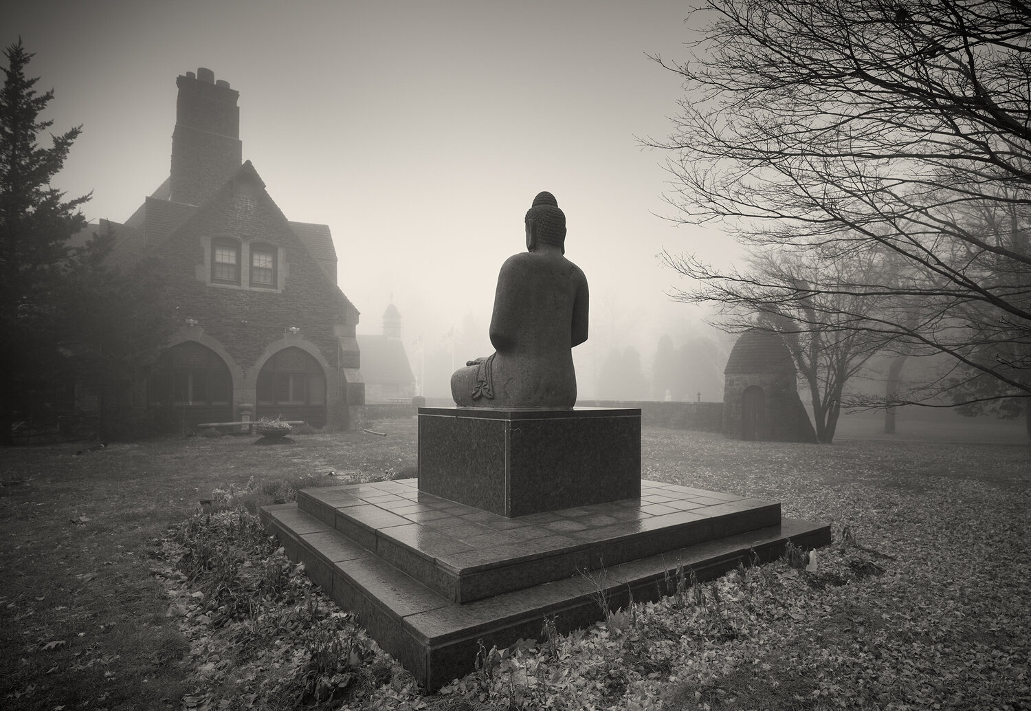 Buddha Study #2 by William Castellana (2024) : Photography Digital on ...