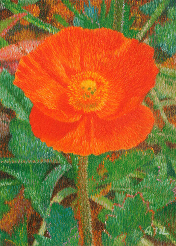 Seung Hwan Kim Artist: Paintings for sale - SINGULART