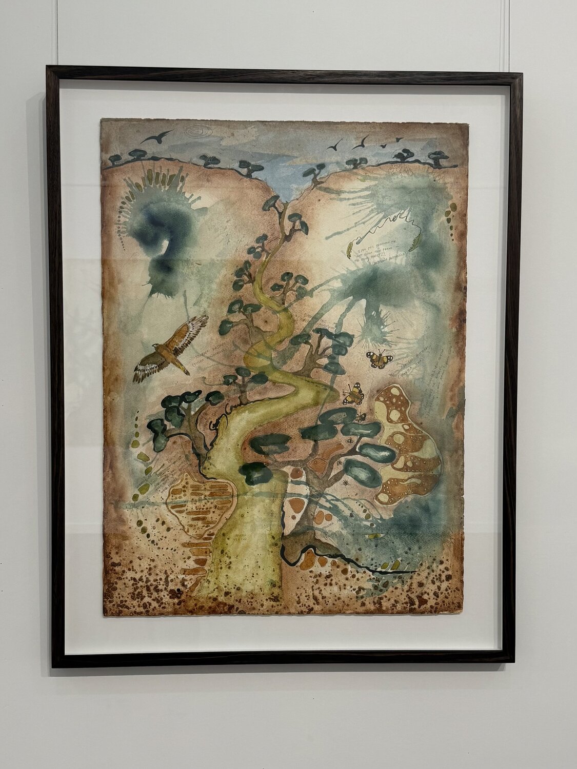 Nankeen Kestrel at Stony Creek de Phillip Roös (2025) : Œuvre sur ...