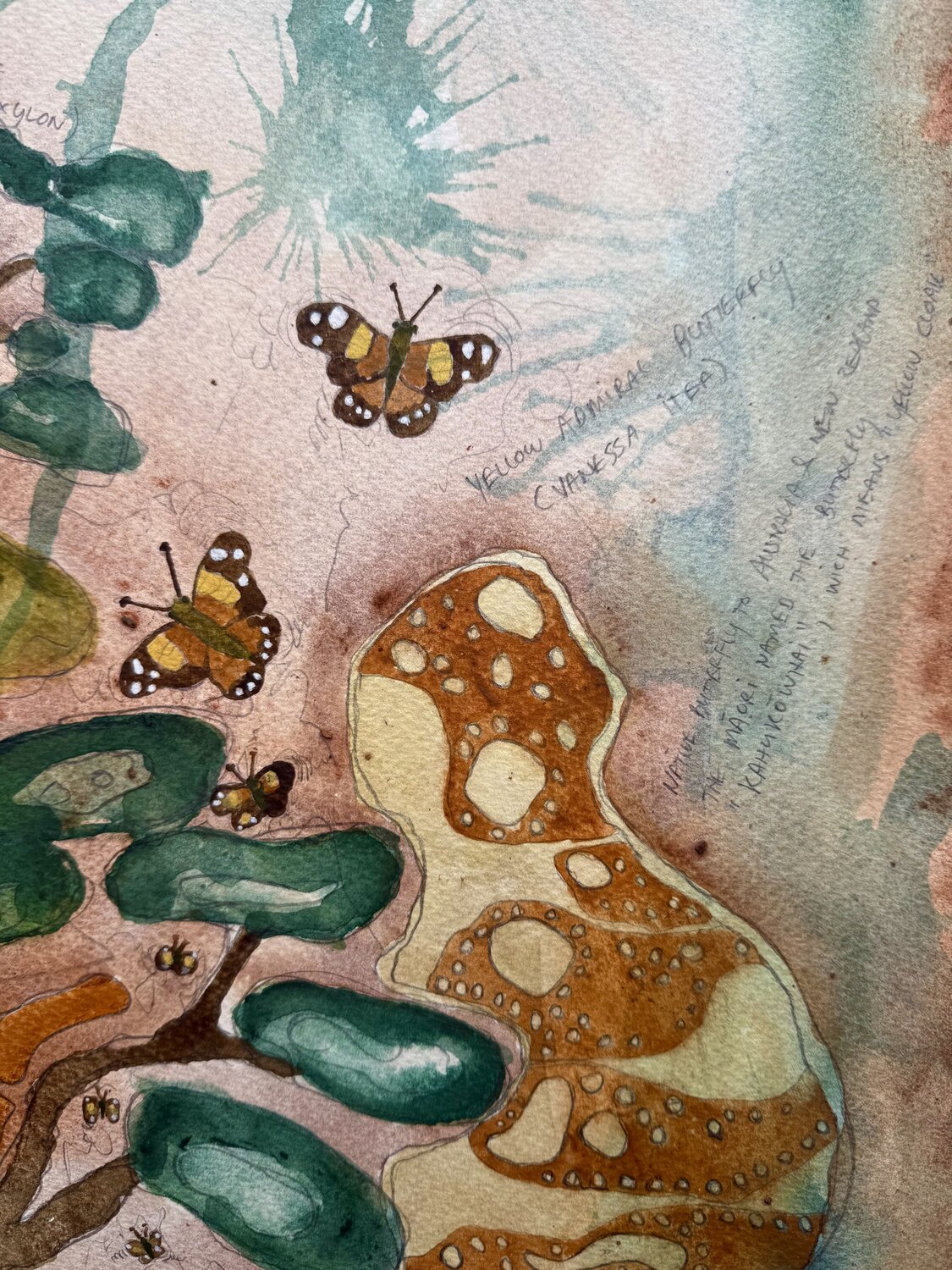 Nankeen Kestrel at Stony Creek de Phillip Roös (2025) : Œuvre sur ...