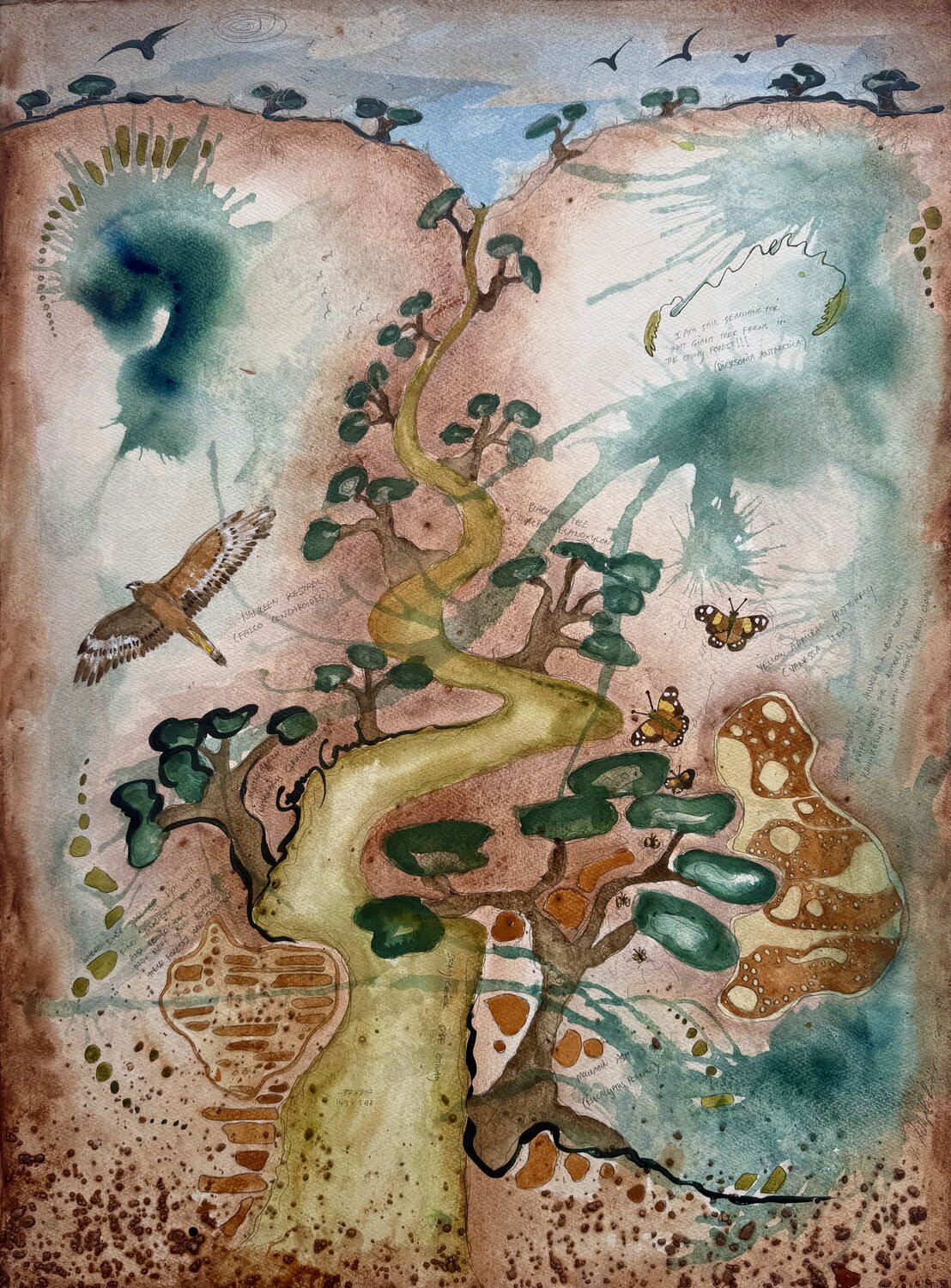 Nankeen Kestrel at Stony Creek de Phillip Roös (2025) : Œuvre sur ...