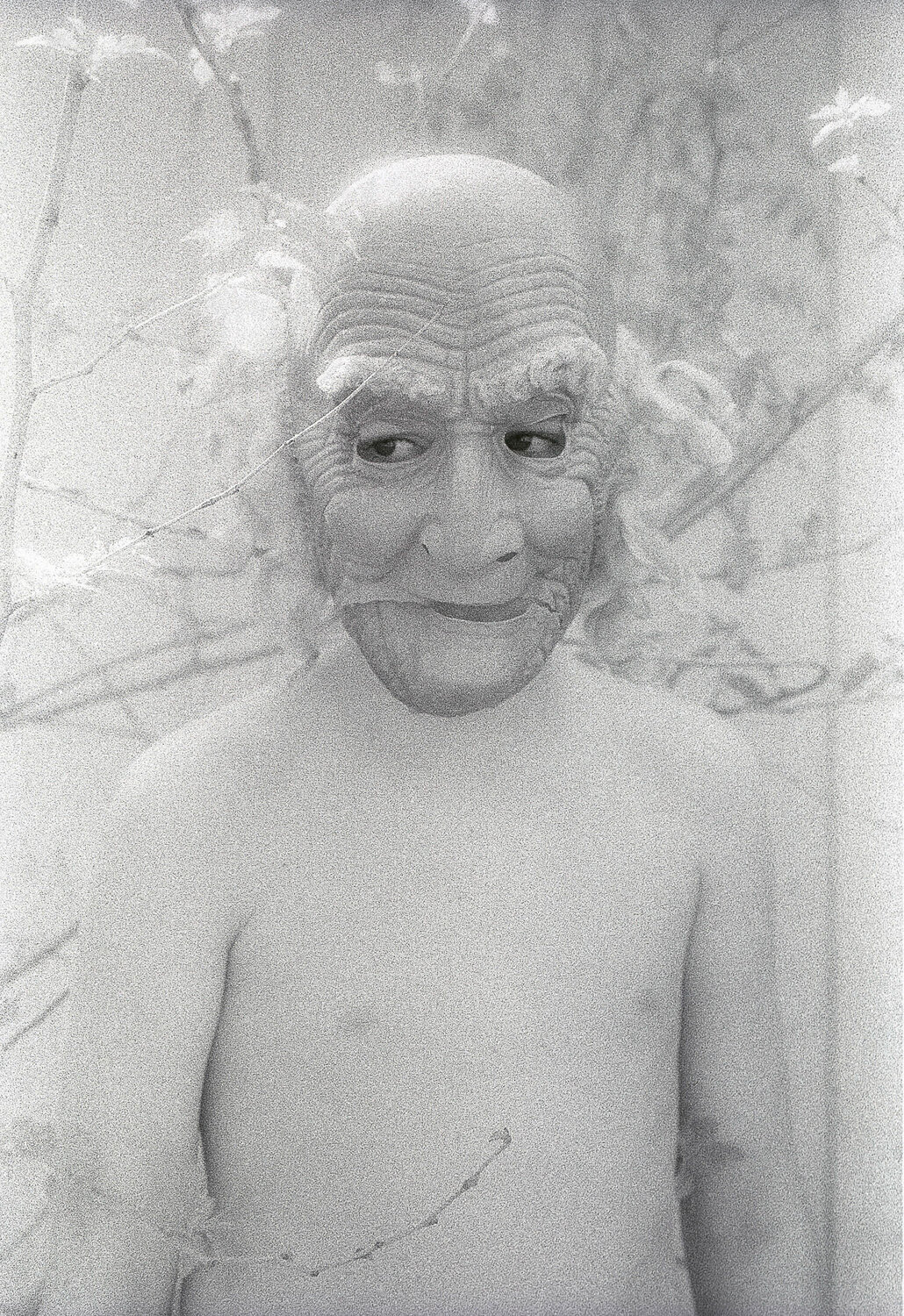 Untitled Daniel Barsotti