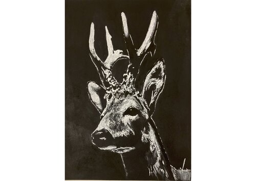 Roebuck de Diana Art (2025): Dibujo Pluma, Lápiz de color en Papel ...