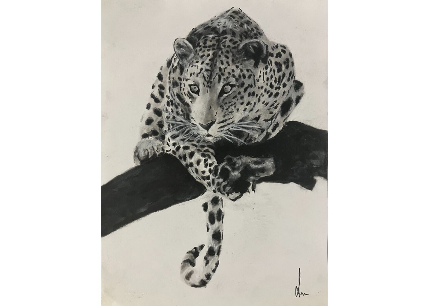 Leopard by Diana Art (2025) : Drawing Pastel on Paper - Singulart