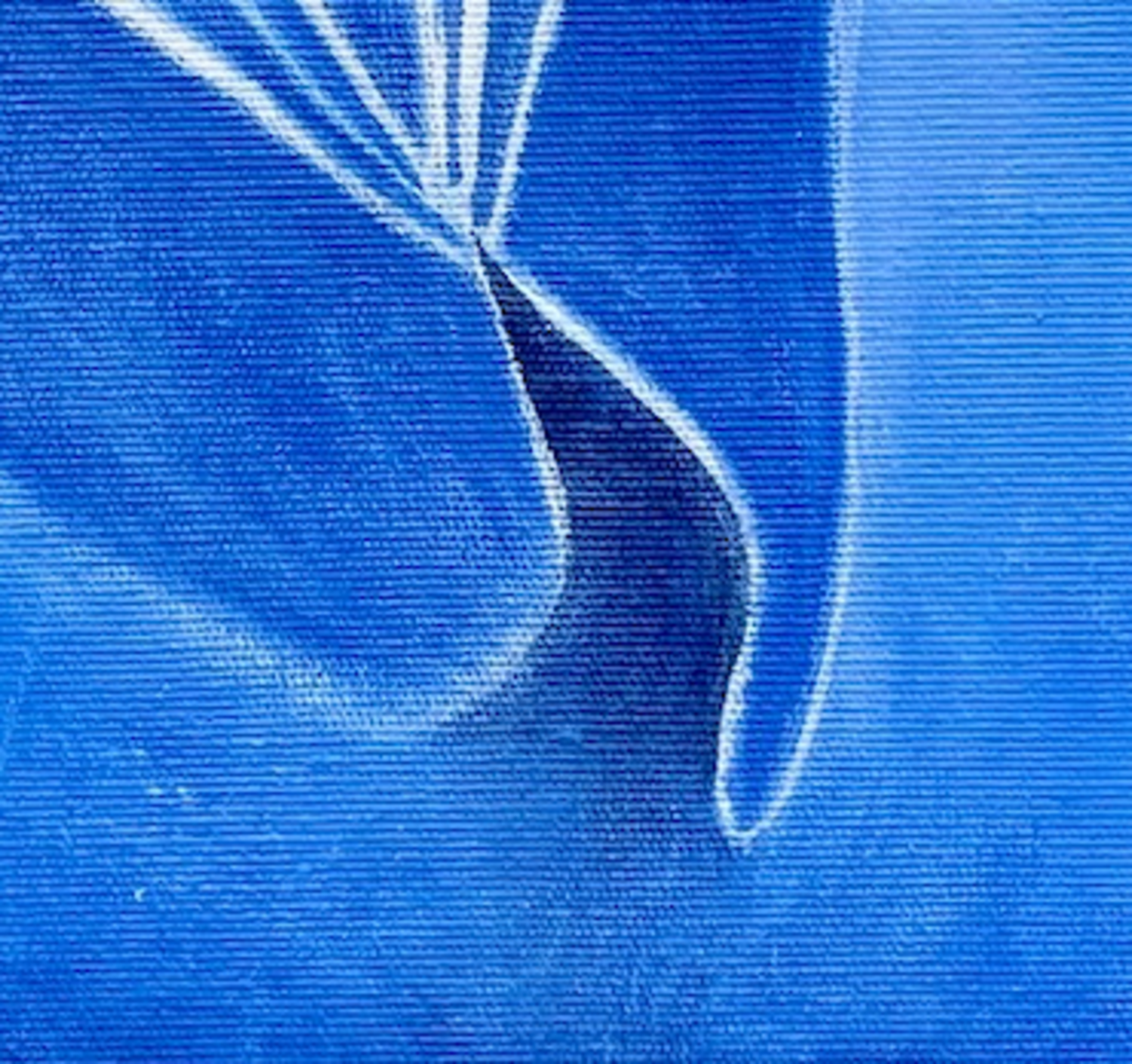 Le Bateau-Oiseau et son Capitaine poussés par le vent des Lotus. The ...