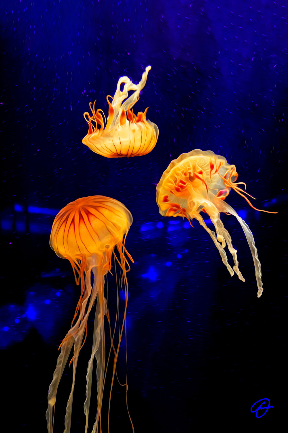 Slow Motion Fabio Dal Boni