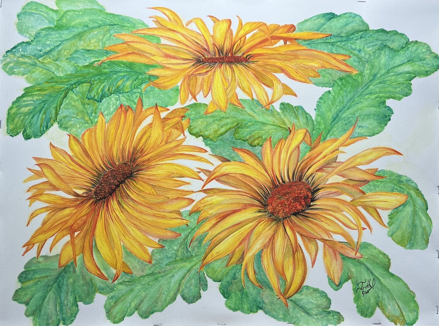 Mums the Flower di John Hazel (2024): Opera su carta a Acquarello su ...