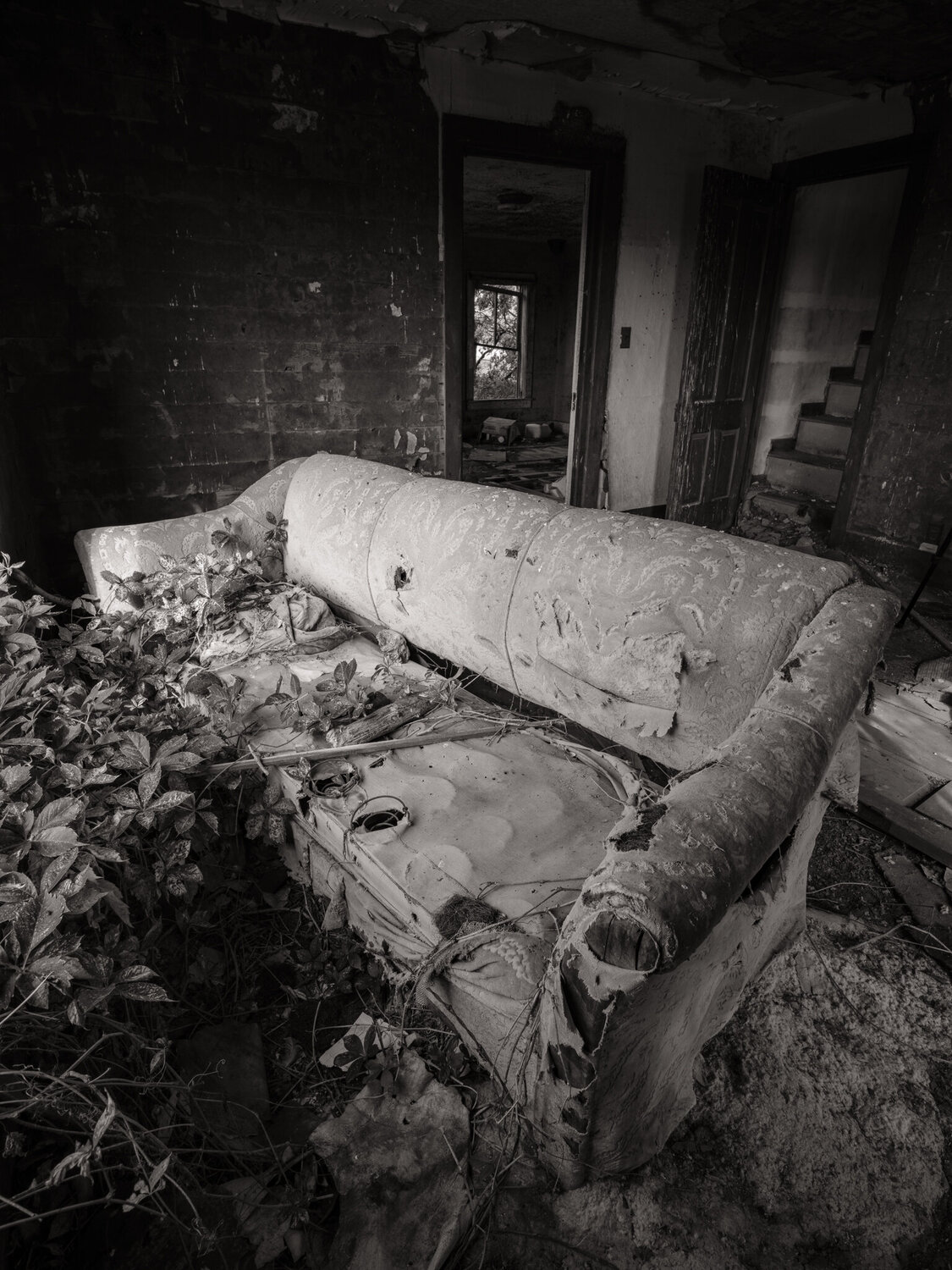 Hope and Reclamation by Justin Black (2022) : Photography Digital on ...