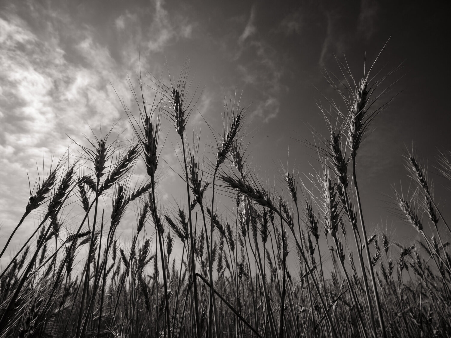 Feeding the World by Justin Black (2022) : Photography Digital on Paper ...