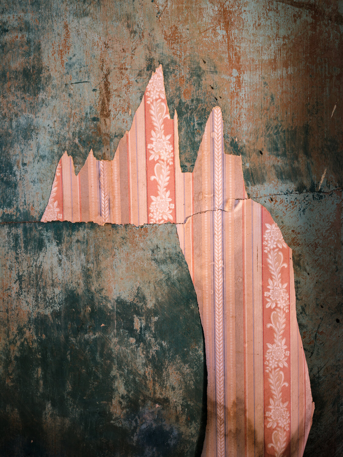 Paper Dragon by Justin Black (2022) : Photography Digital on Paper ...