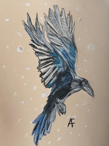 Raven in Flight di Alison Forsberg (2024): Opera su carta a Pastello a ...
