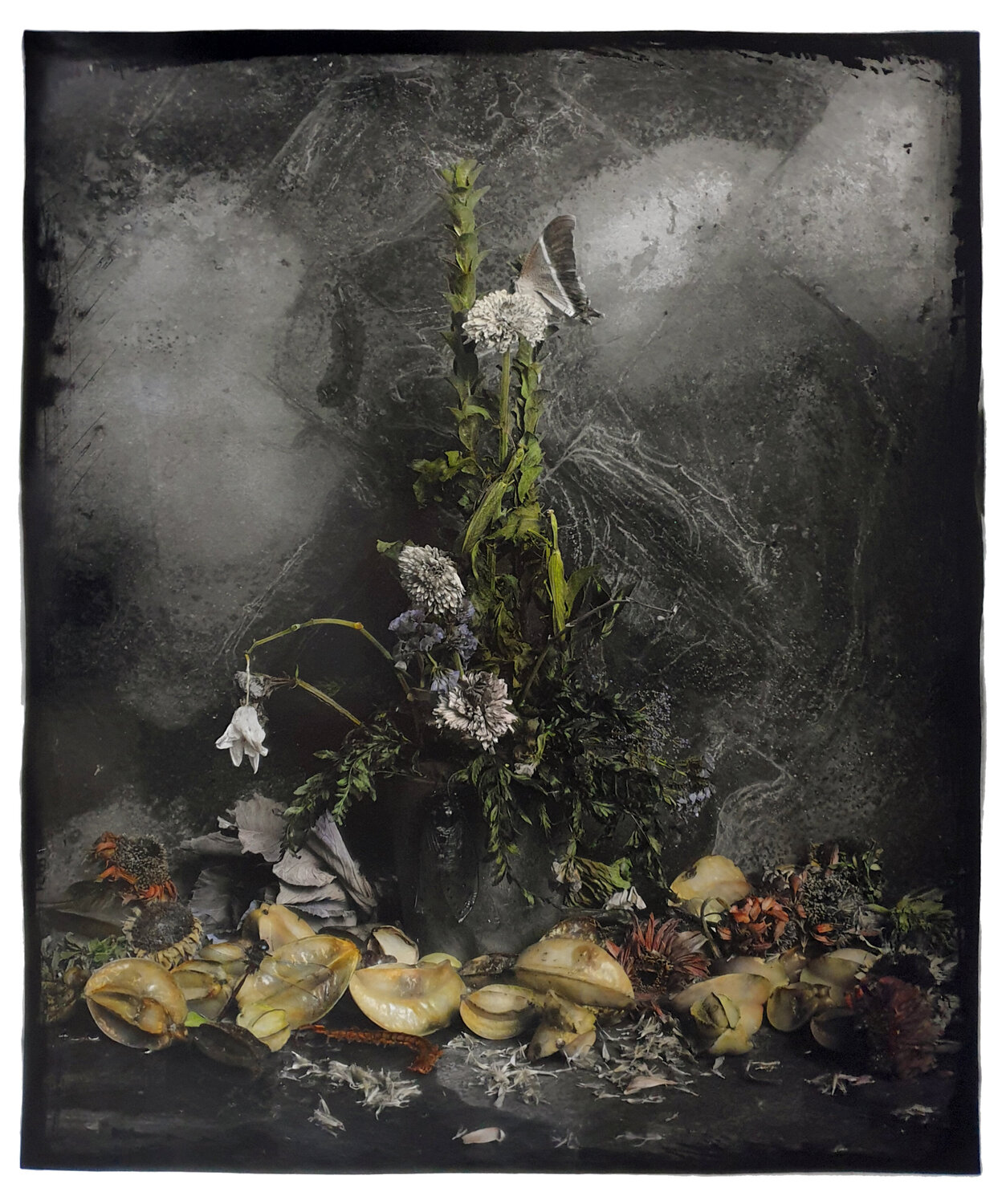 Fin de Paul Gadd (2020): Fotografía Análogo en Papel - Singulart