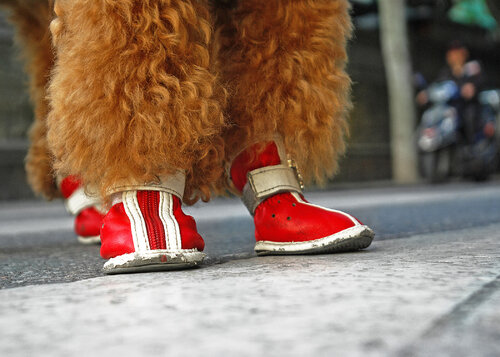 Eva by Rizak BRADAÏA (2012) : Photography Digital on Paper - Singulart