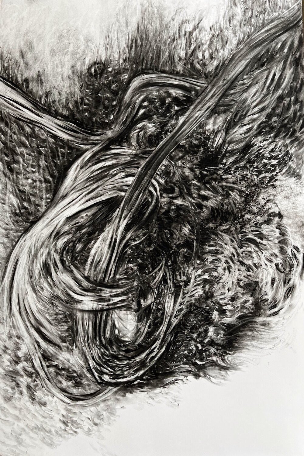 In the Wake of Being di Philippe Briade (2025): Disegno a Carbone su ...