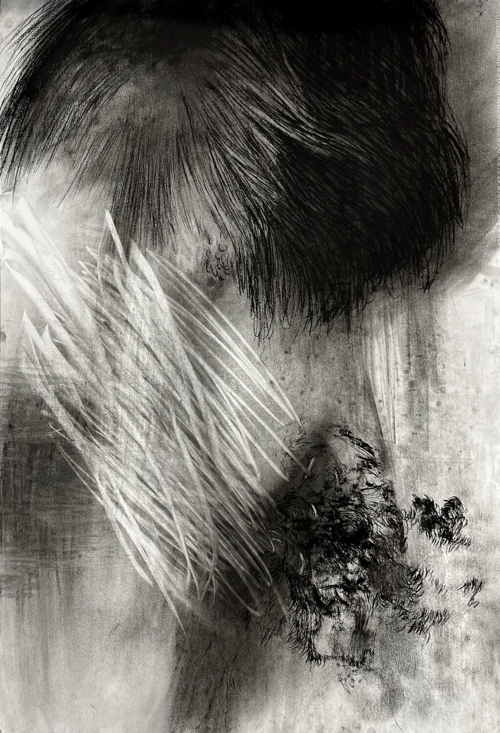 Breath and Shadow de Philippe Briade (2024): Dibujo Carbón en Papel ...