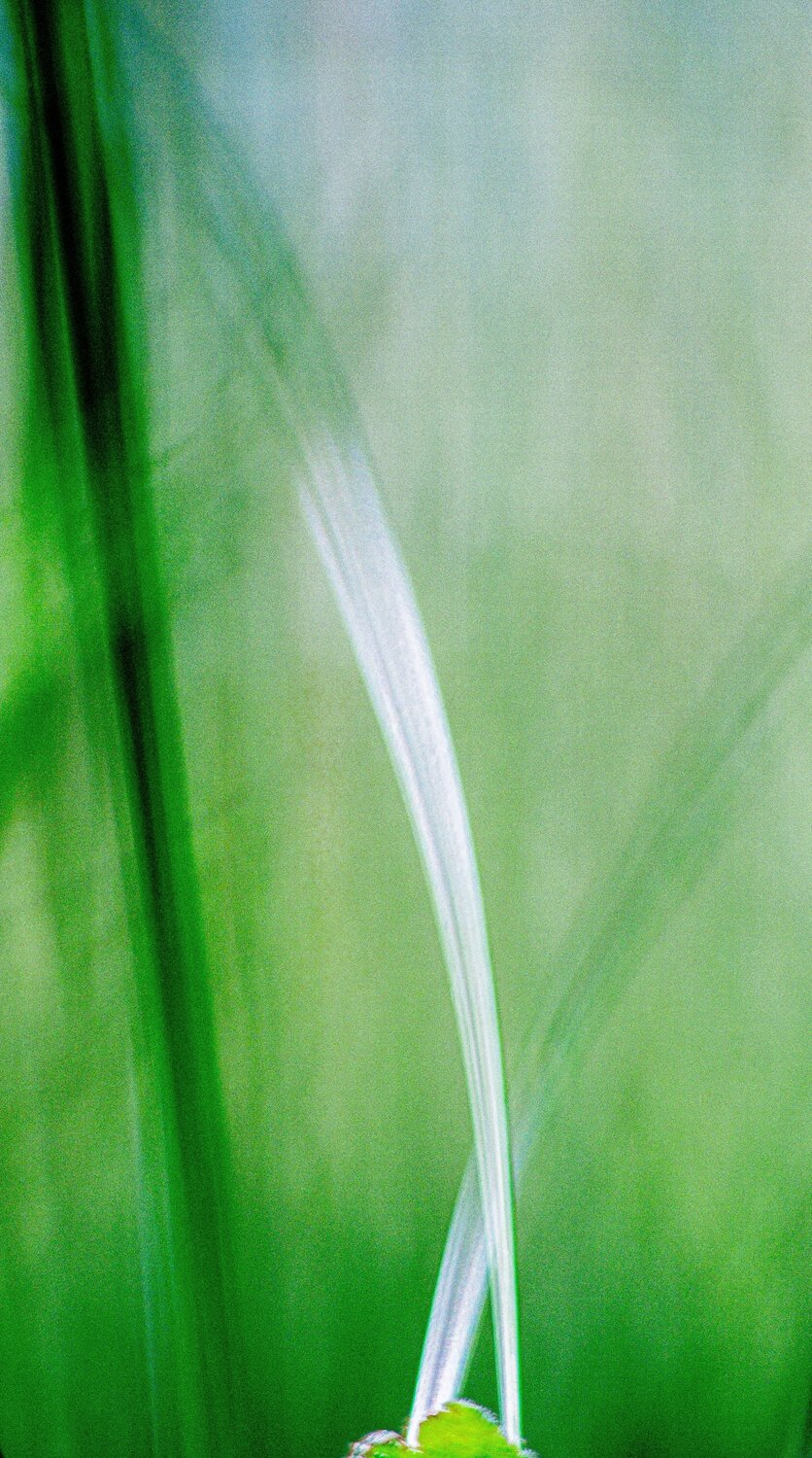 Up to the light de Norbert Stein (2025) : Photographie Digital, Hybride ...