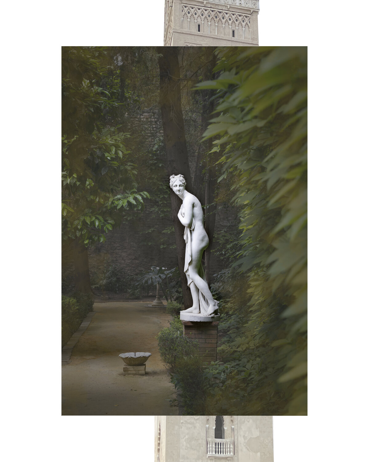 La belle de Séville by Jean Vachon (2025) : Photography Digital on Paper - Singulart