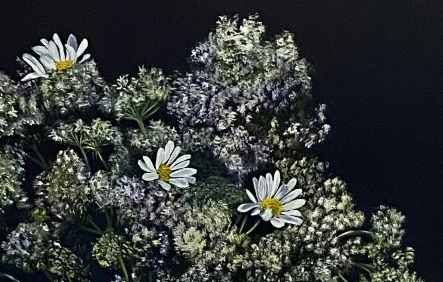 Wilde veldbloemen, Wild field flowers di Lianne van der Plaat (2023 ...
