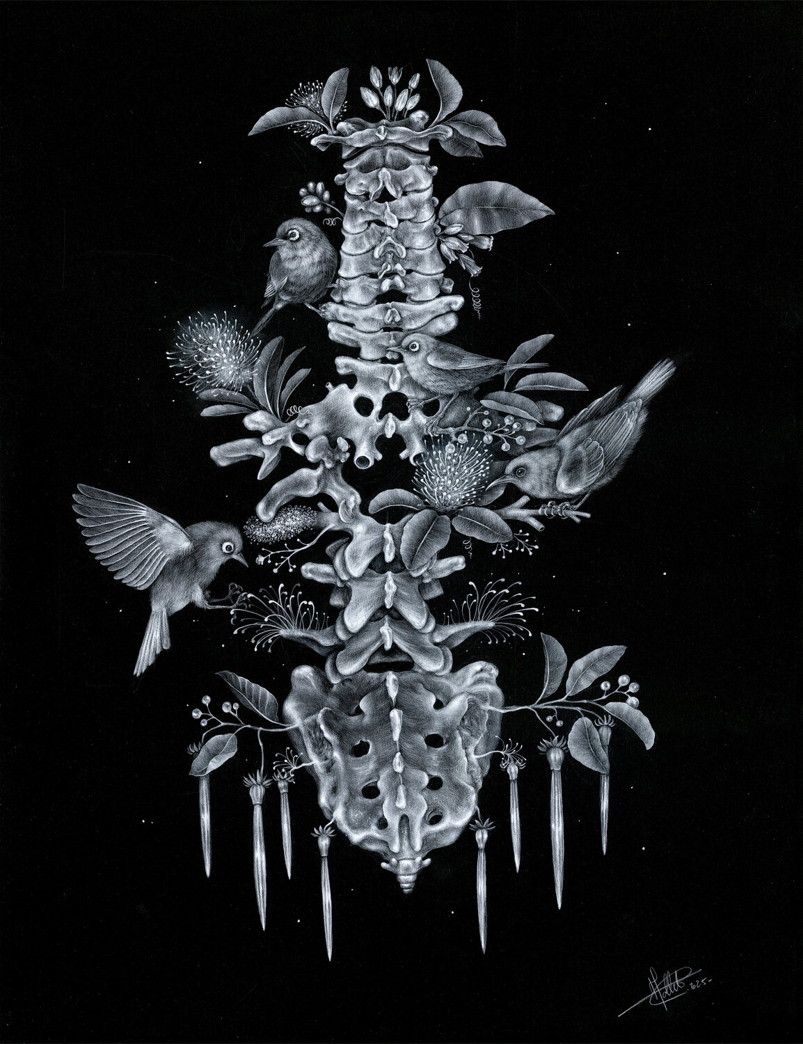 Arbor spinalis by Charlotte Mollet (2025) : Drawing Pastel, Pencil on ...