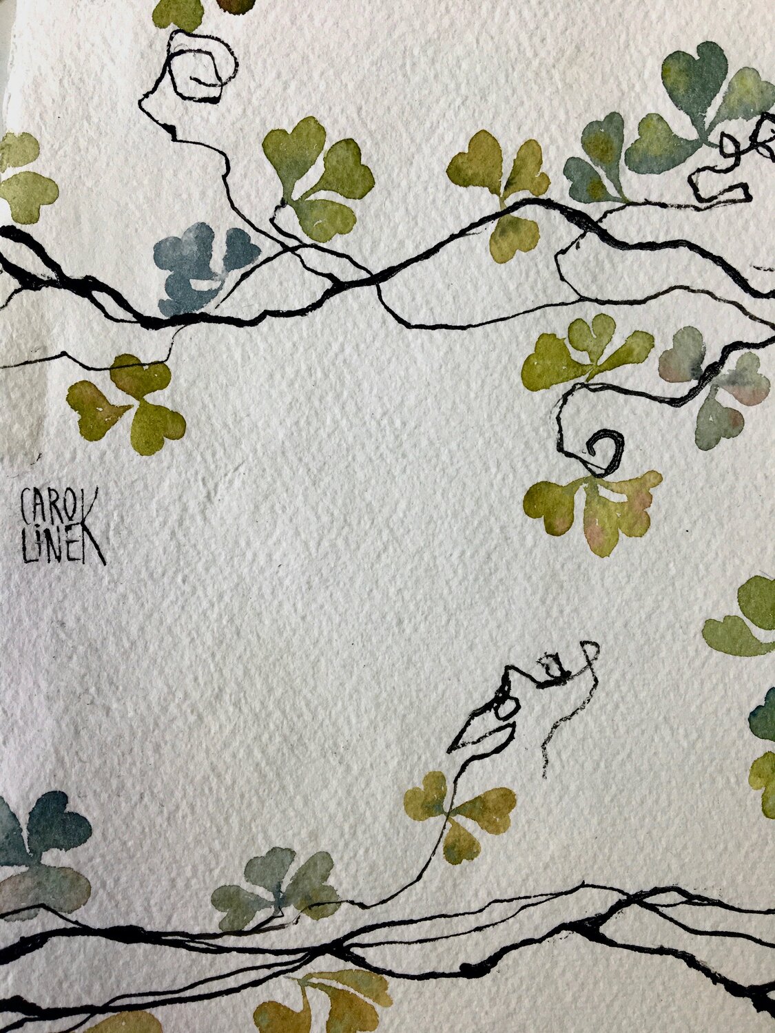 Oxalis in lines by Caroline K (2020) : Work on Paper Watercolor, India ...