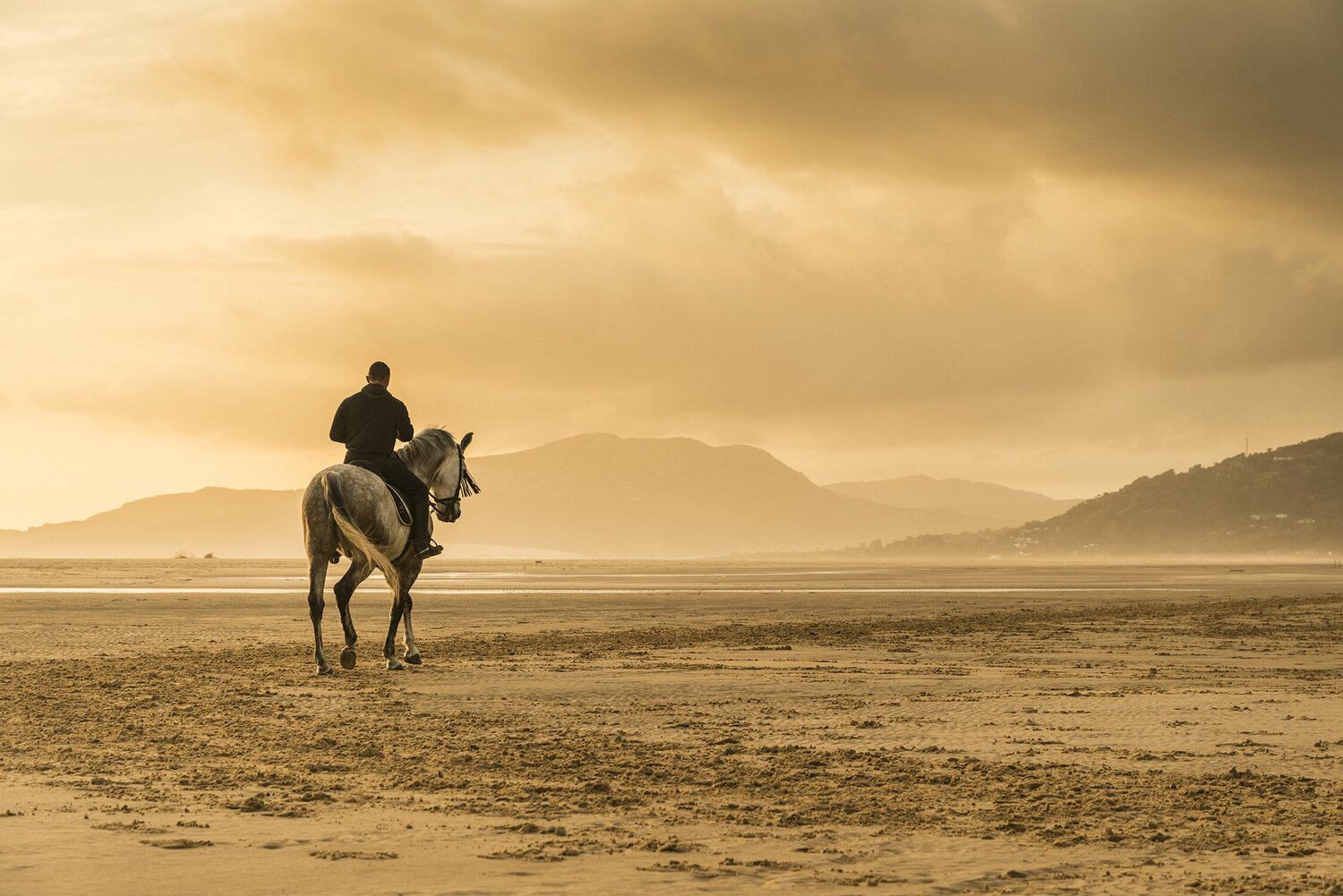 LONE RIDER Andrew Lever