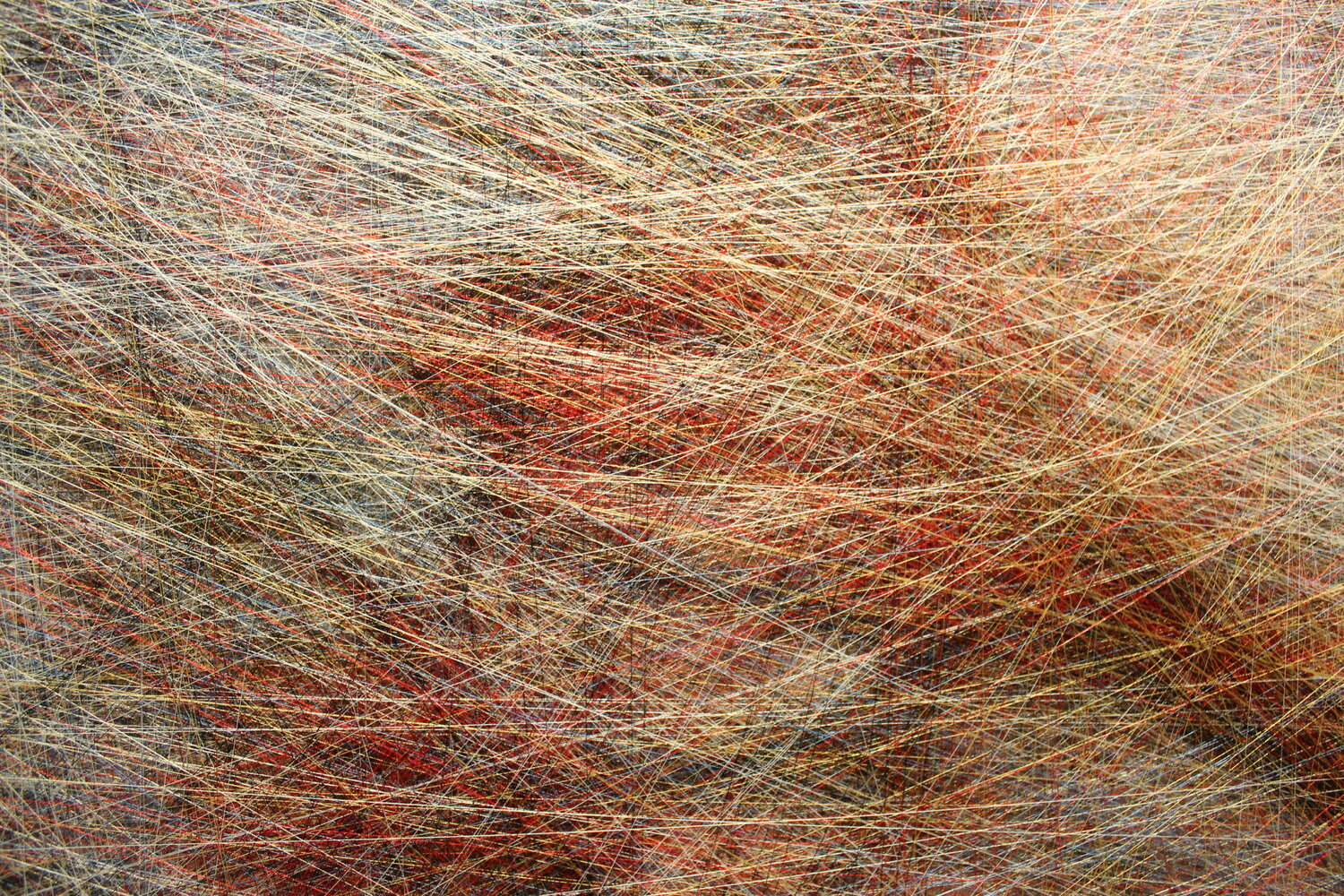 Le Paradis (Algorithmic art | Stringart) by Andrew and Ani Abakumova ...