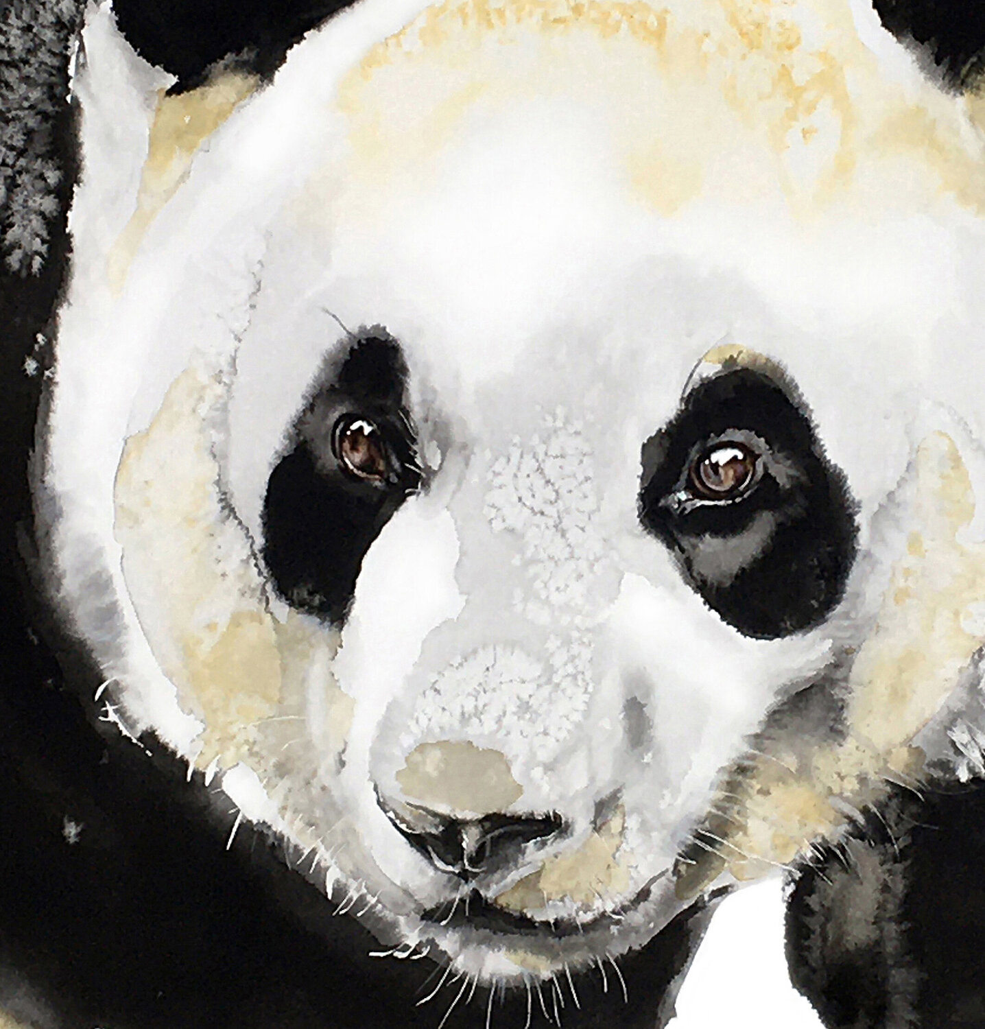 Panda Enchantment by Soo Beng Lim (2022) : Drawing India Ink on Paper ...