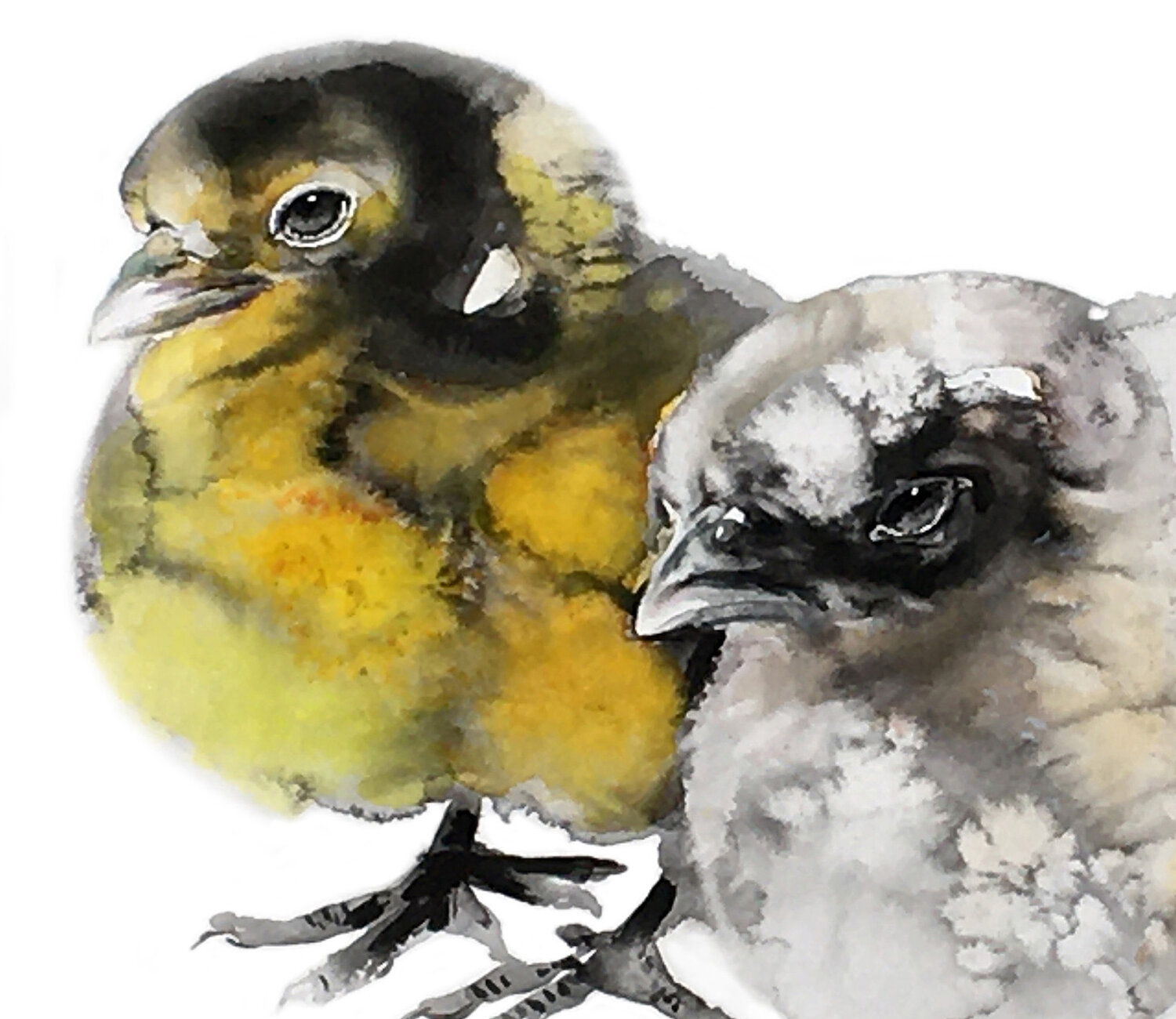 Chick Cuties by Soo Beng Lim (2022) : Drawing India Ink on Paper - SINGULART