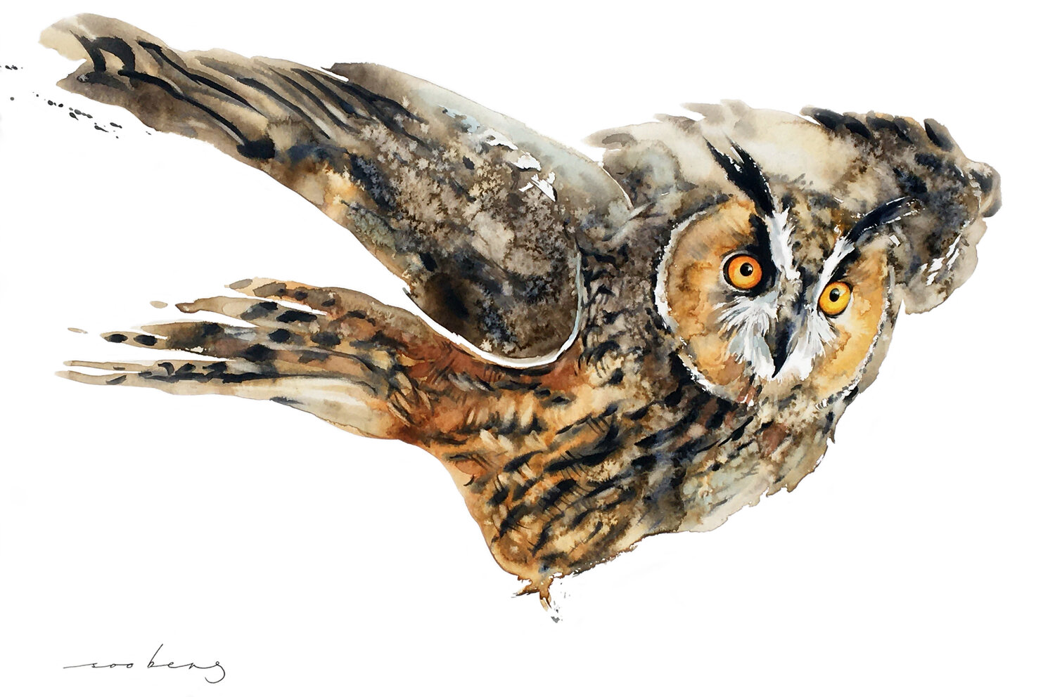 Swooping Owl by Soo Beng Lim (2022) : Drawing India Ink on Paper ...