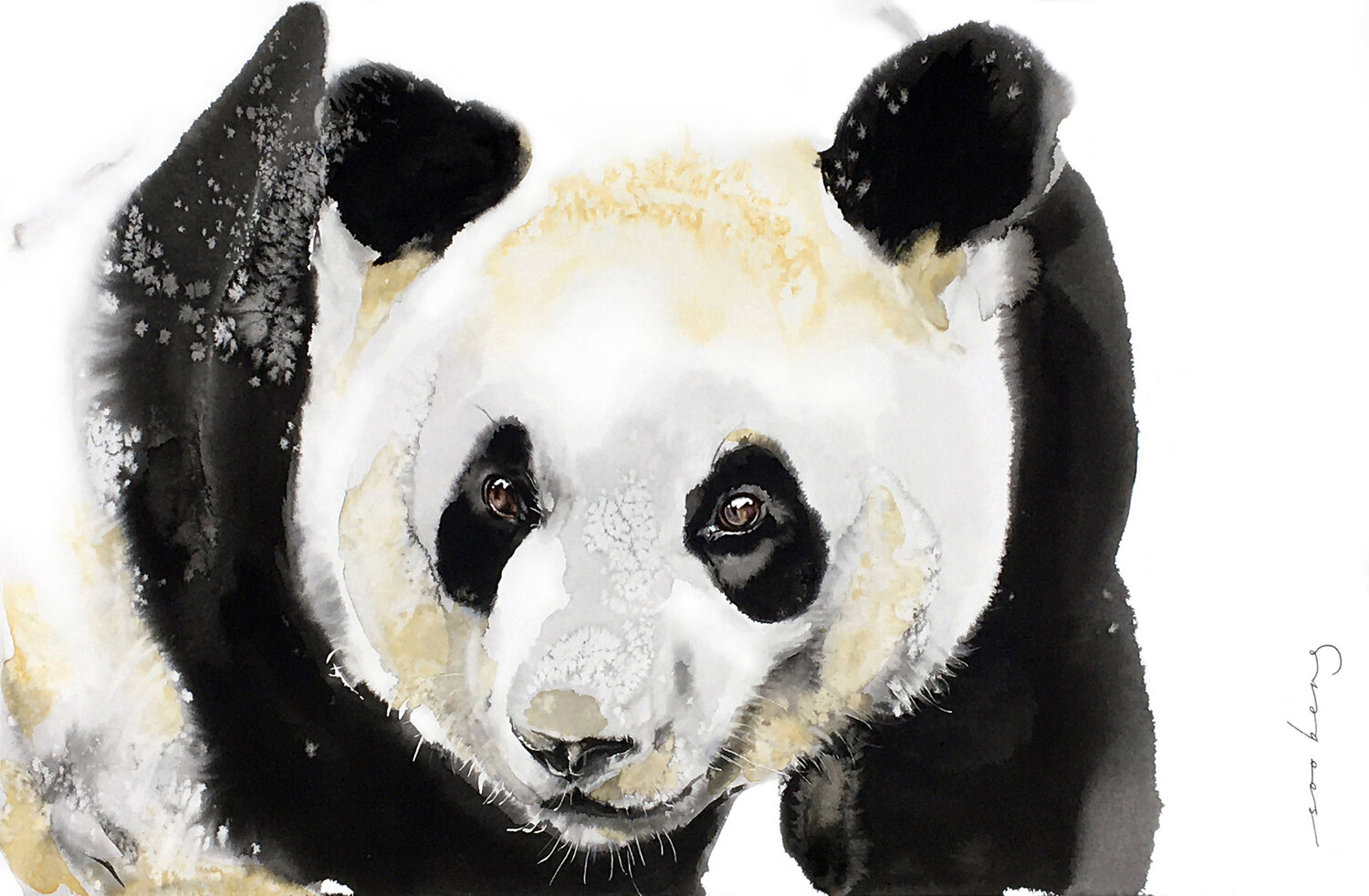 Panda Enchantment by Soo Beng Lim (2022) : Drawing India Ink on Paper ...
