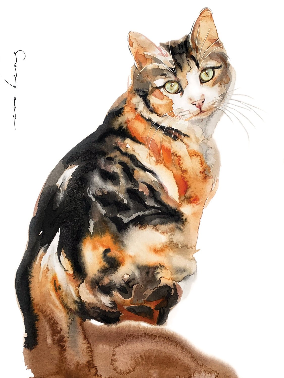 Cat Sense by Soo Beng Lim (2022) : Drawing India Ink on Paper - Singulart