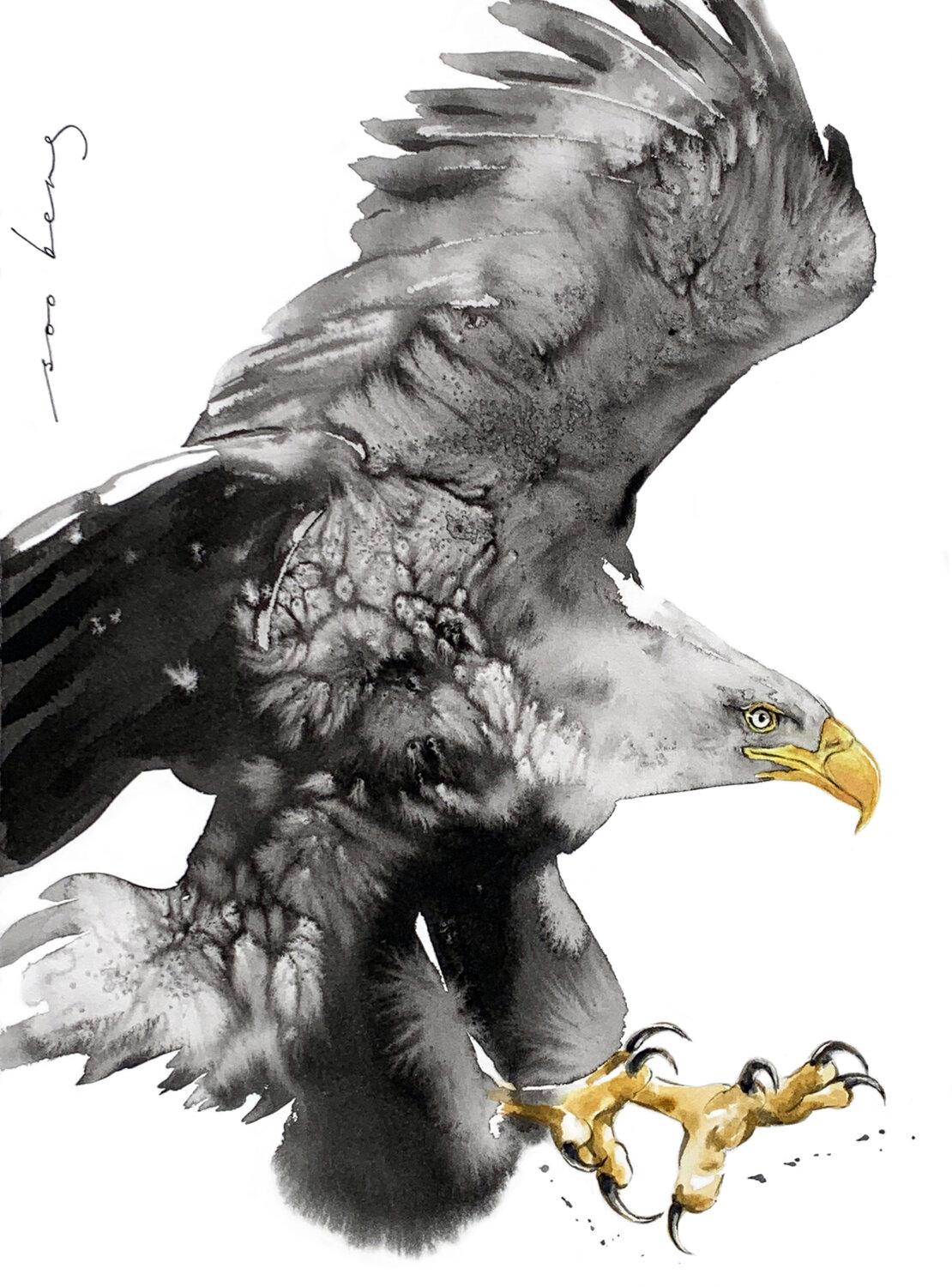 Wing Power by Soo Beng Lim (2023) : Drawing India Ink on Paper - Singulart