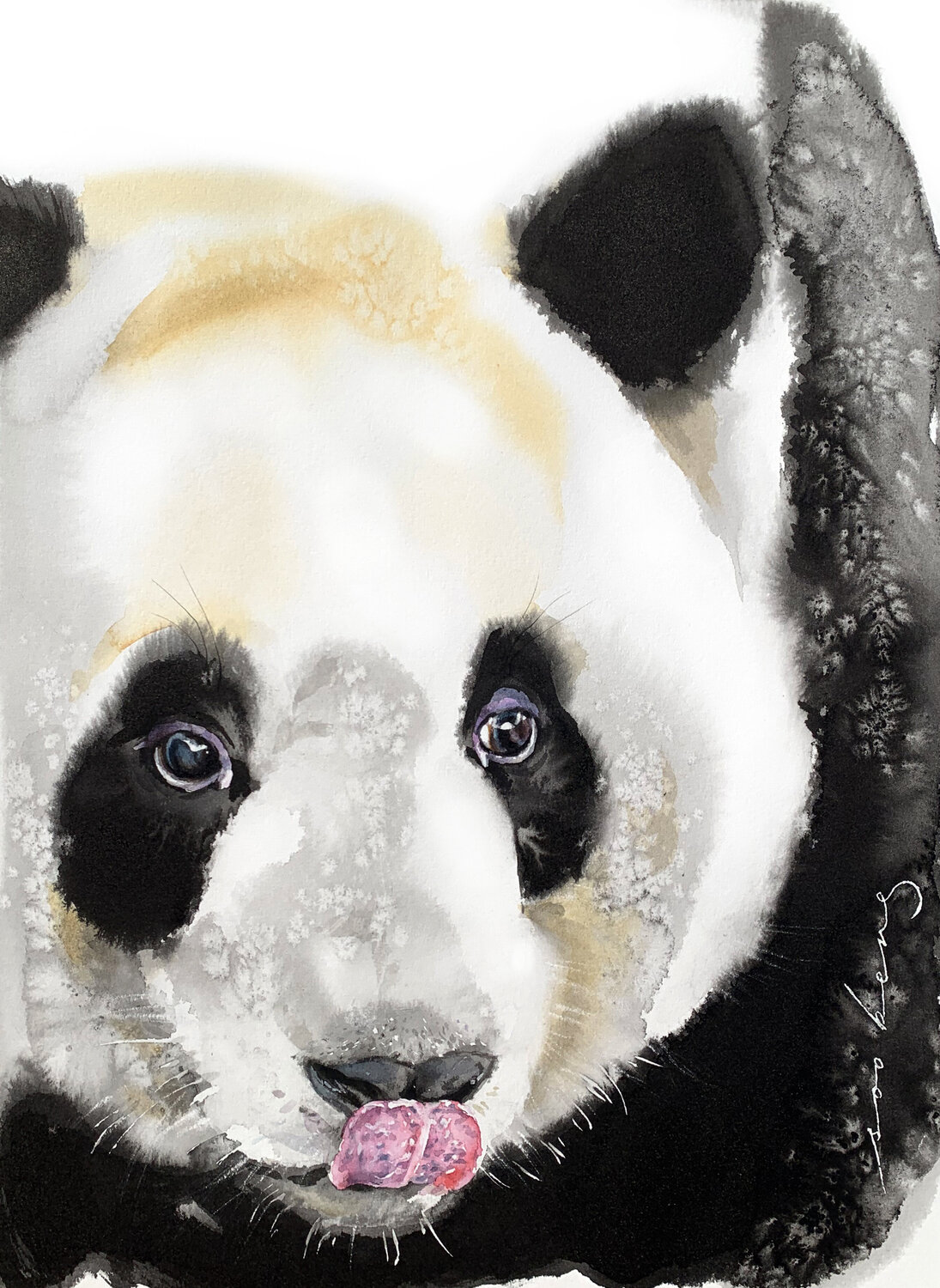 Cheeky Panda by Soo Beng Lim (2023) : Drawing India Ink on Paper ...