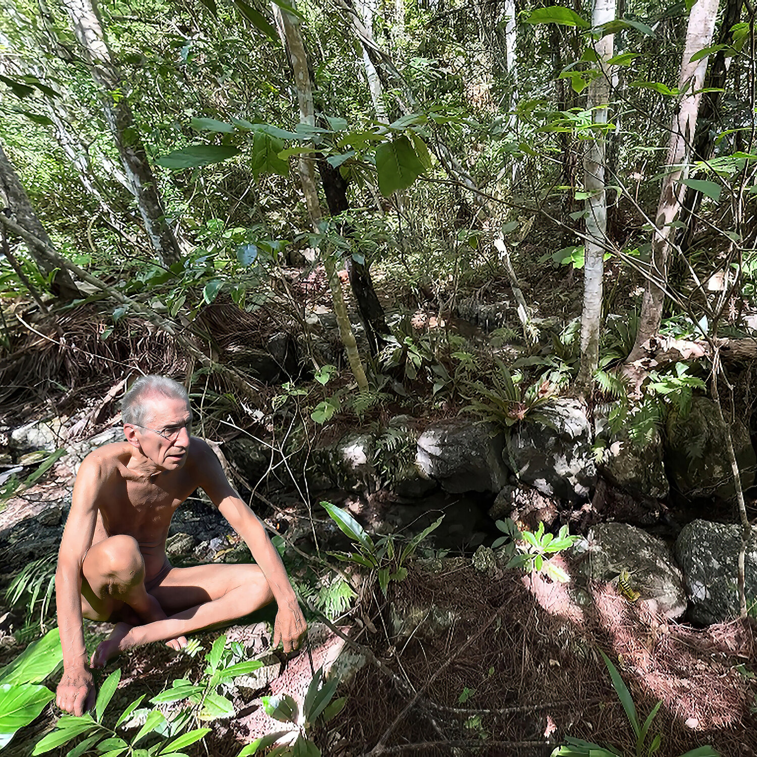 stunning power of a tropical jewel de Daniel de Saint-Yon (2024 ...