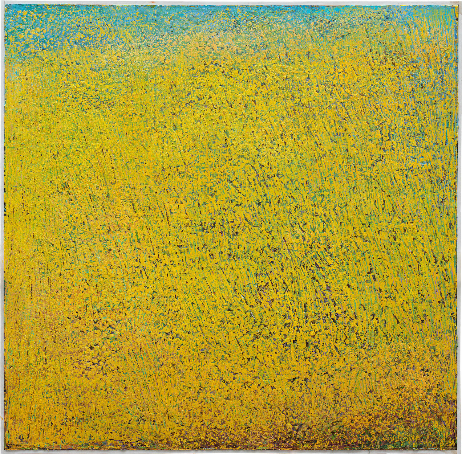 "Nicht ewig blüht der Raps...!" von Michael Freudenberg (2012): Malerei Öl auf Leinwand - SINGULART