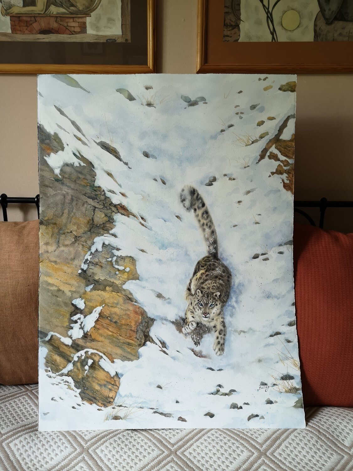 Snow Leopard - Pixels Snow Leopard on Mountain side - Ghost of the ...