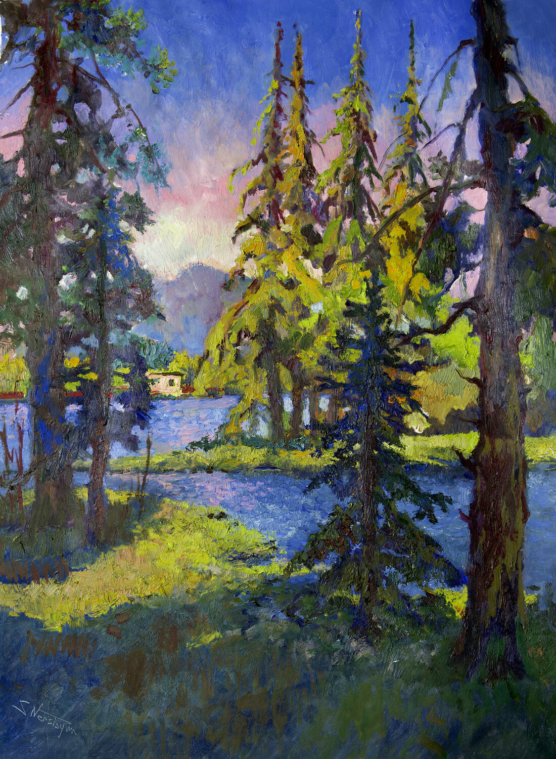 Pine Trees Landscape