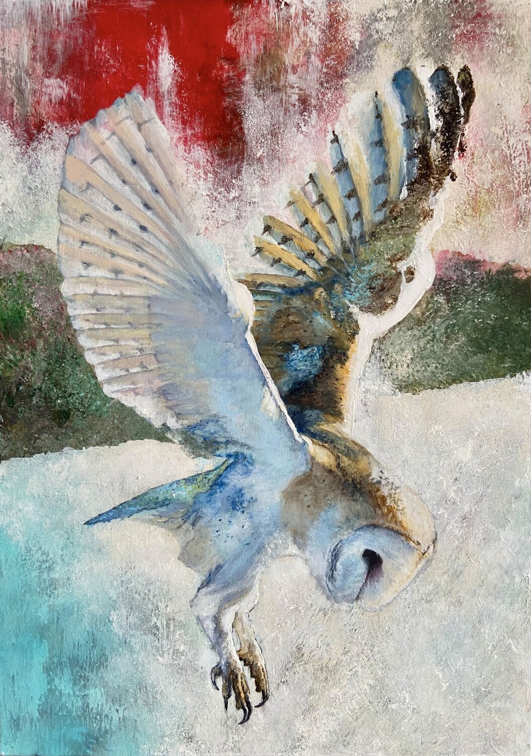 Colorful Barn Owl Drawing
