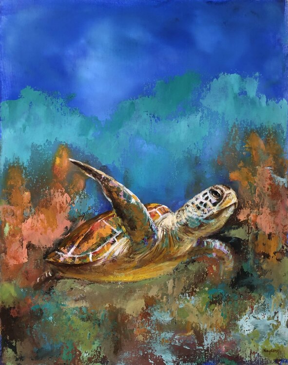 Sea Turtles Swimming Drawing