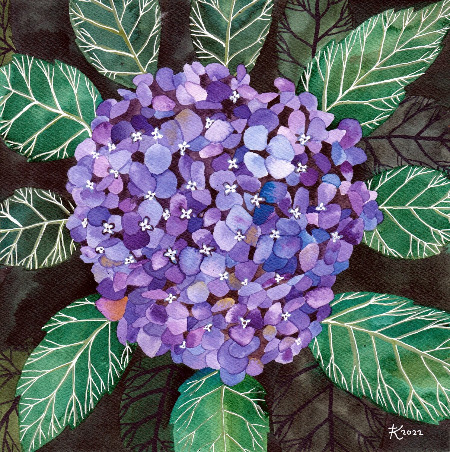 Hydrangea by Terri Smith (2022) : Work on Paper Acrylic, Ink on Paper ...