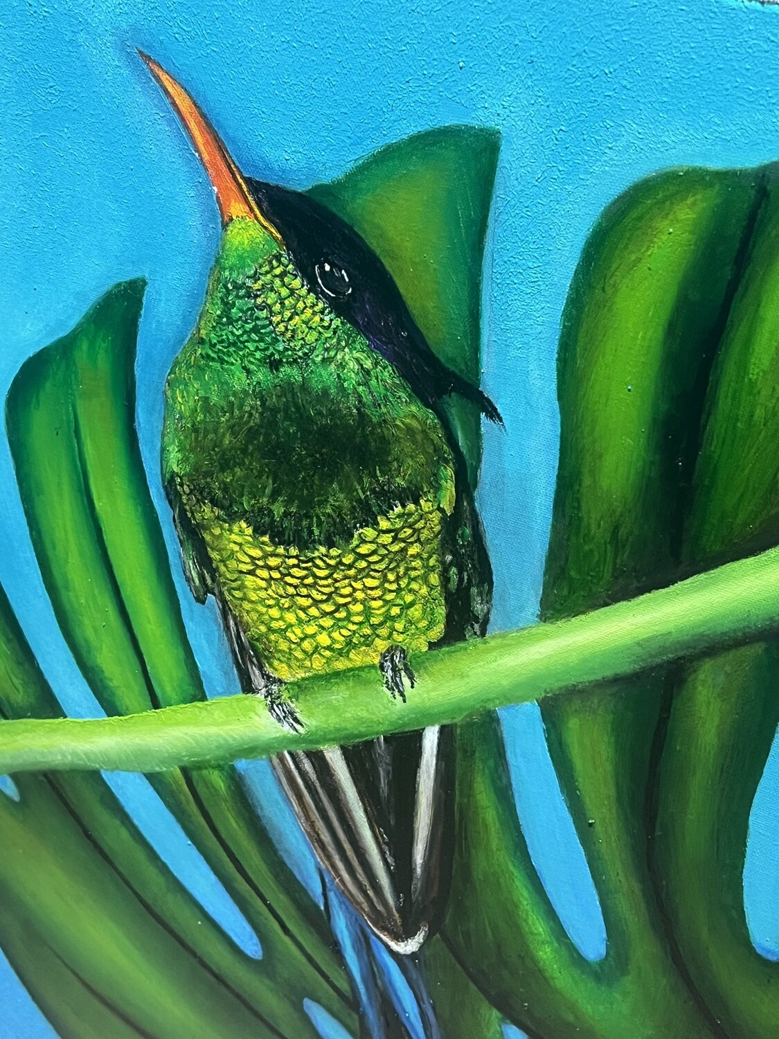 The Jamaican Doctor Bird (Swallowtail Hummingbird) by Andy Hollimon ...