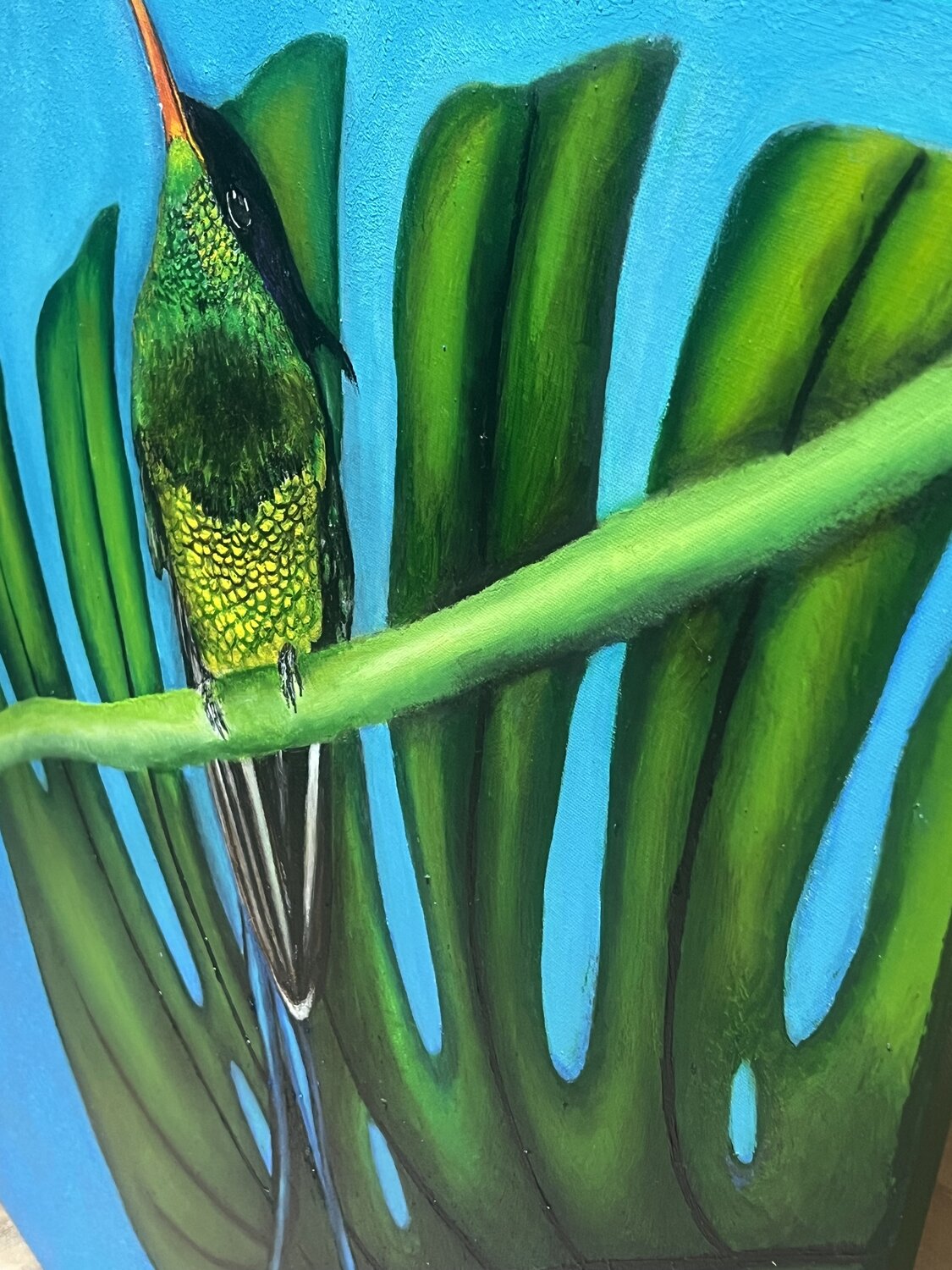 The Jamaican Doctor Bird (Swallowtail Hummingbird) by Andy Hollimon ...