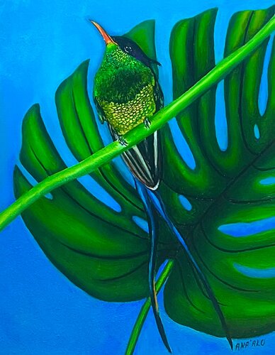 The Jamaican Doctor Bird (Swallowtail Hummingbird) by Andy Hollimon ...
