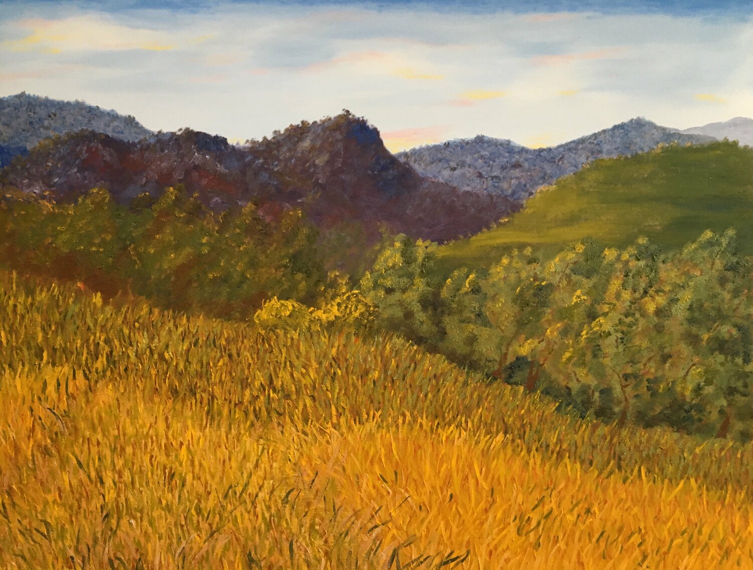 Hills and Grass by Bill Neary (2018) : Painting Oil on Canvas - Singulart
