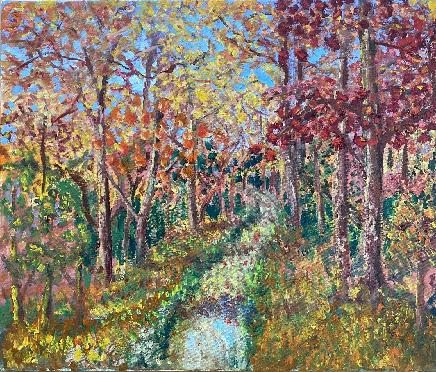 Autumn Forest by Bill Neary (2016) : Painting Oil on Canvas - Singulart