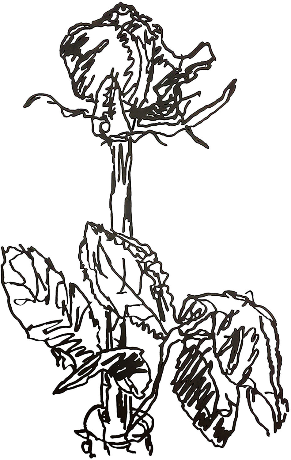 Rose von Paul Arsenault (N.D): Skulptur Stahl - Singulart