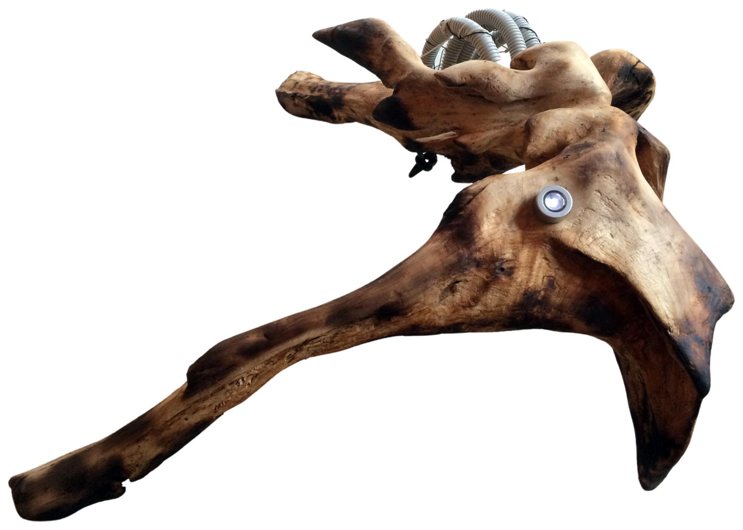 Grand âge de Catherine Hoang (2018) : Sculpture Bois - Singulart